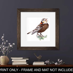 Chestnut-collared Longspur Watercolor Fine Art Print - Bird Lover's ...