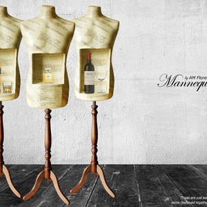 Elegant Bust Mannequin Showcase Display Exclusive Furniture Case for ...