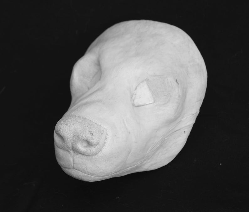 Realistic Spotted Hyena Fursuit Mask Resin Blank With Moving - Etsy