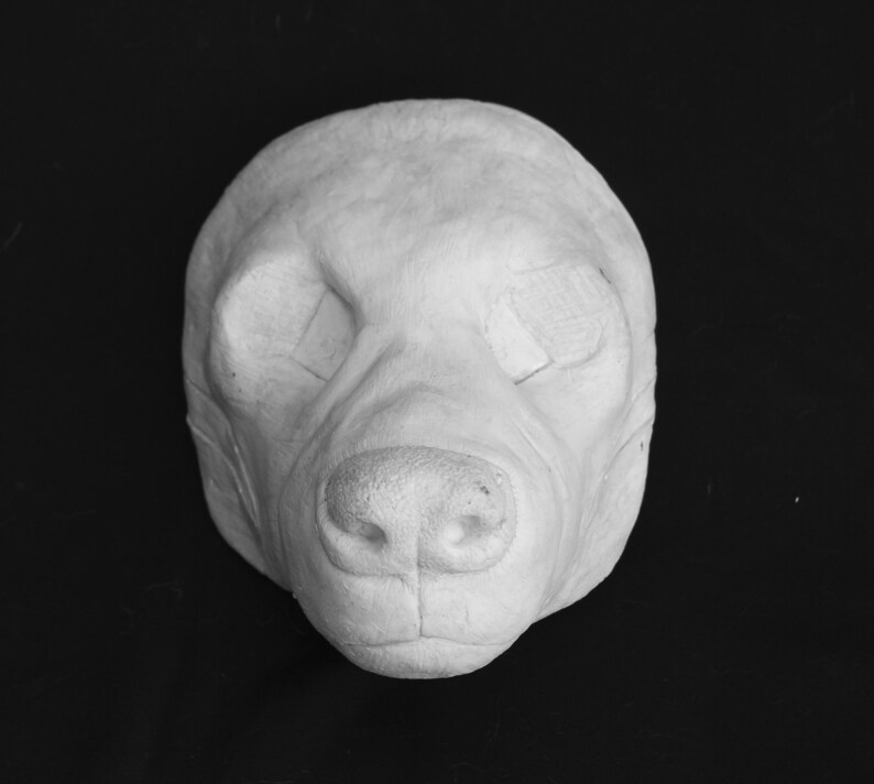 Realistic Spotted Hyena Fursuit Mask Resin Blank with Moving | Etsy