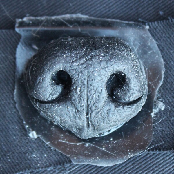 Realistic Canine Fursuit - Etsy