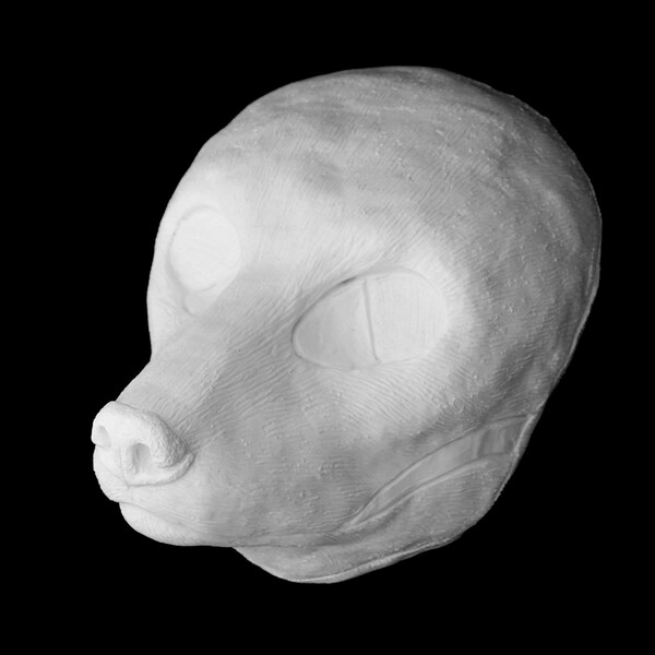 Arctic Fox Fursuit - Etsy