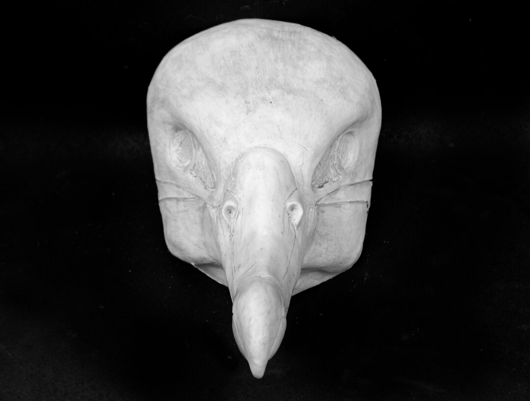 Realistic Albatross Fursuit Mask Resin Blank With Moving Jaw - Etsy