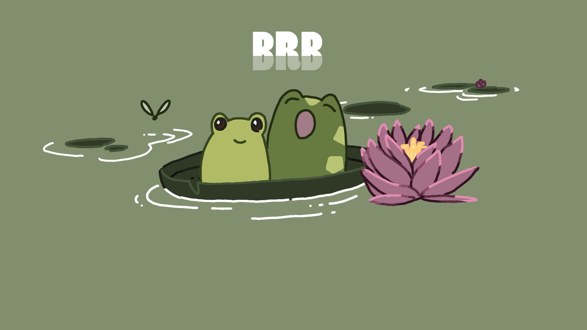 Animated Frog Twitch Screen | Overlay | Starting Soon | BRB | Offline ...