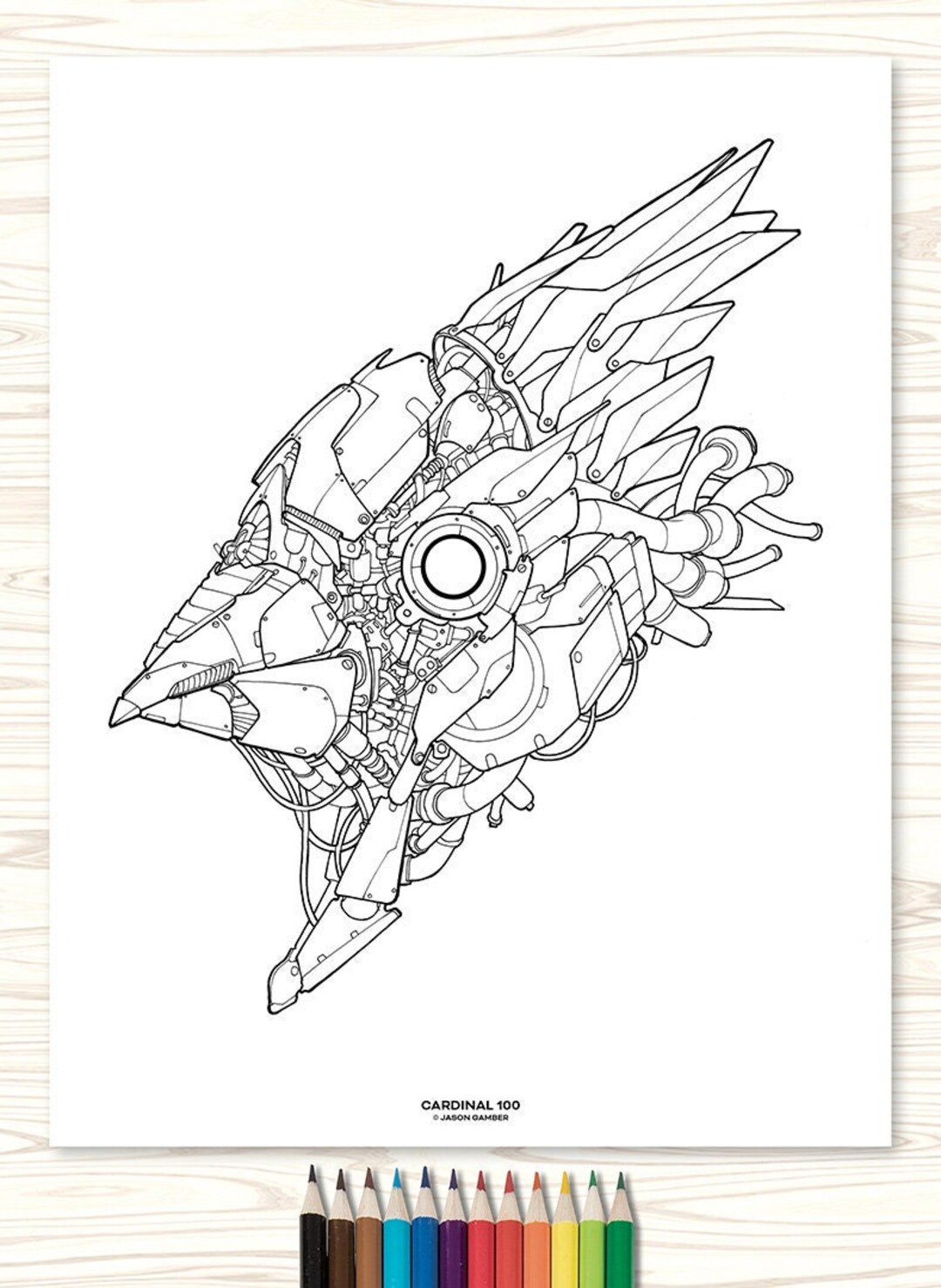 Robot Bird Cardinal Coloring Page, Child Coloring, Coloring Page - Etsy