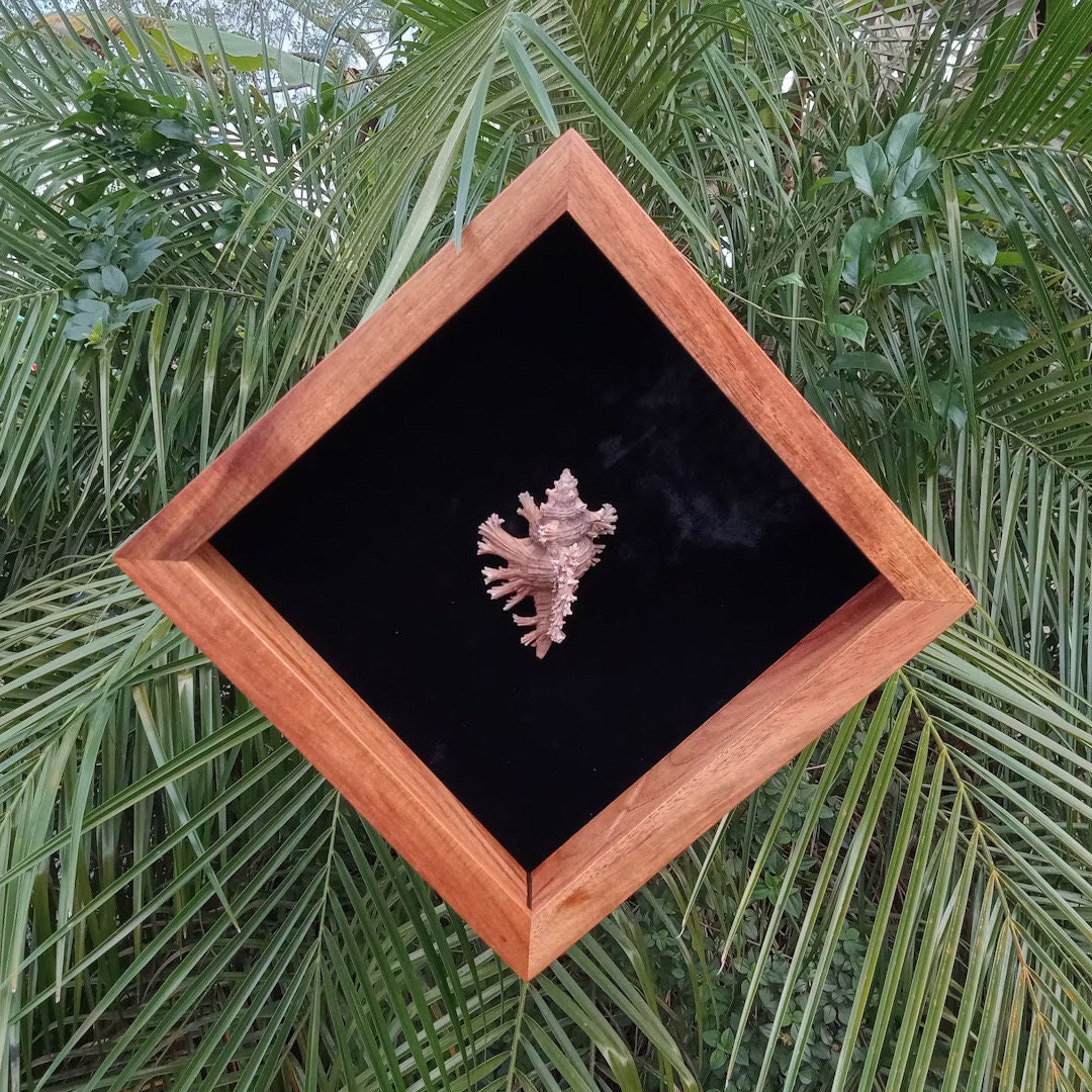 Solid Hawaiian Koa Wood Shadow Box - Etsy
