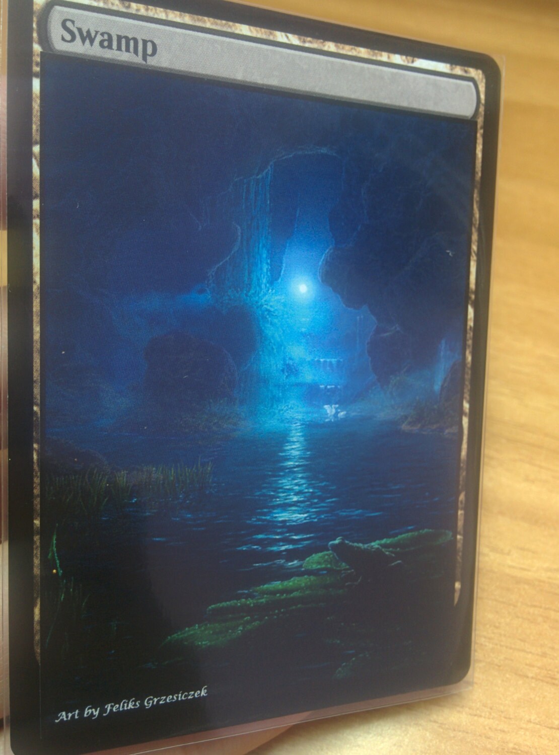 1x Swamp 1 Extended Textless Full Art Custom Altered Basic Land MTG - Etsy