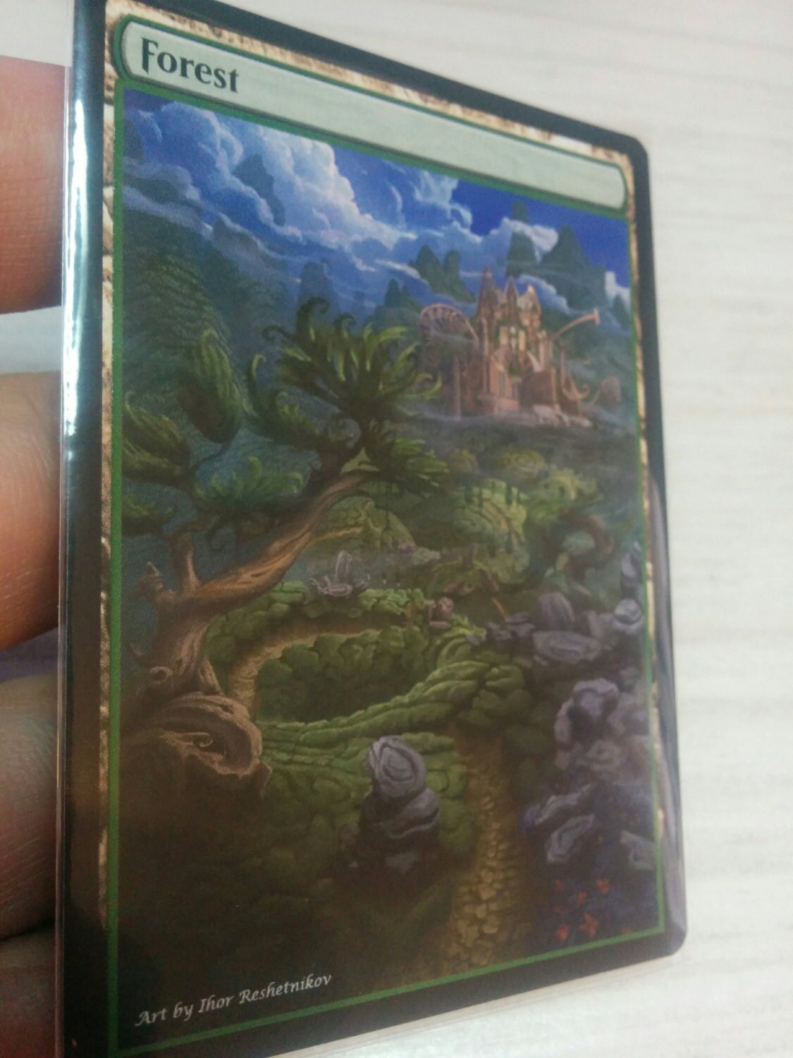 Magic The Gathering Forest Art