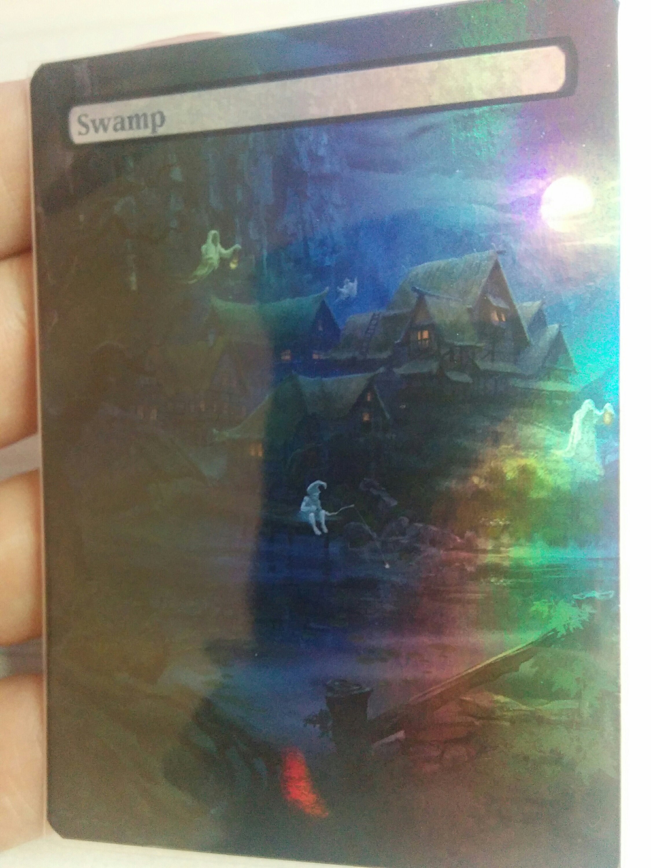 1x Swamp 6.1 FOIL Borderless Full Art Custom Basic Land MTG - Etsy