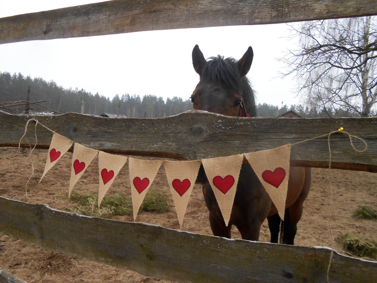 Heart Bunting Valentines Day Decor Valentines Day Banner | Etsy