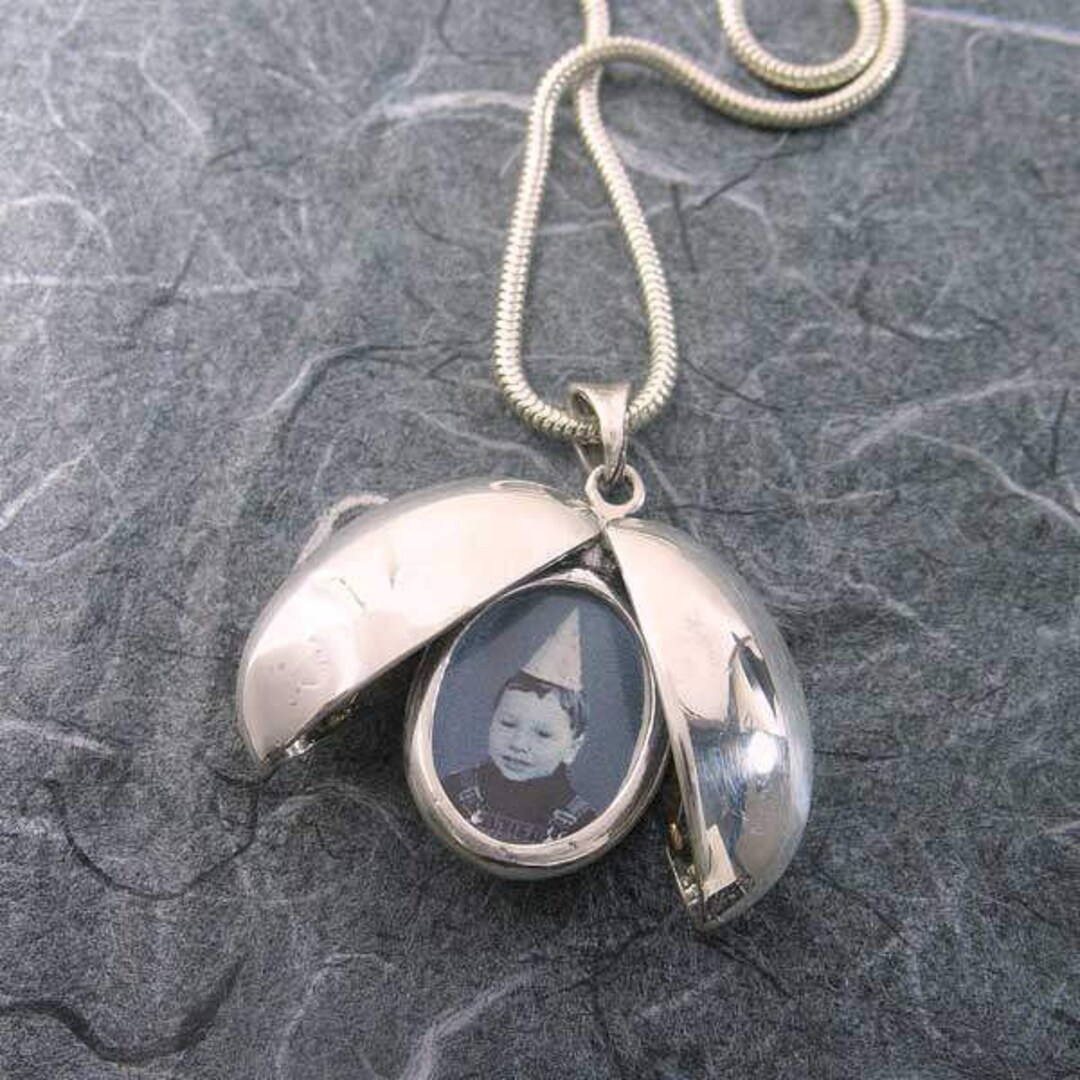 Silver Lady Bug 2 Pictures Locket - Etsy