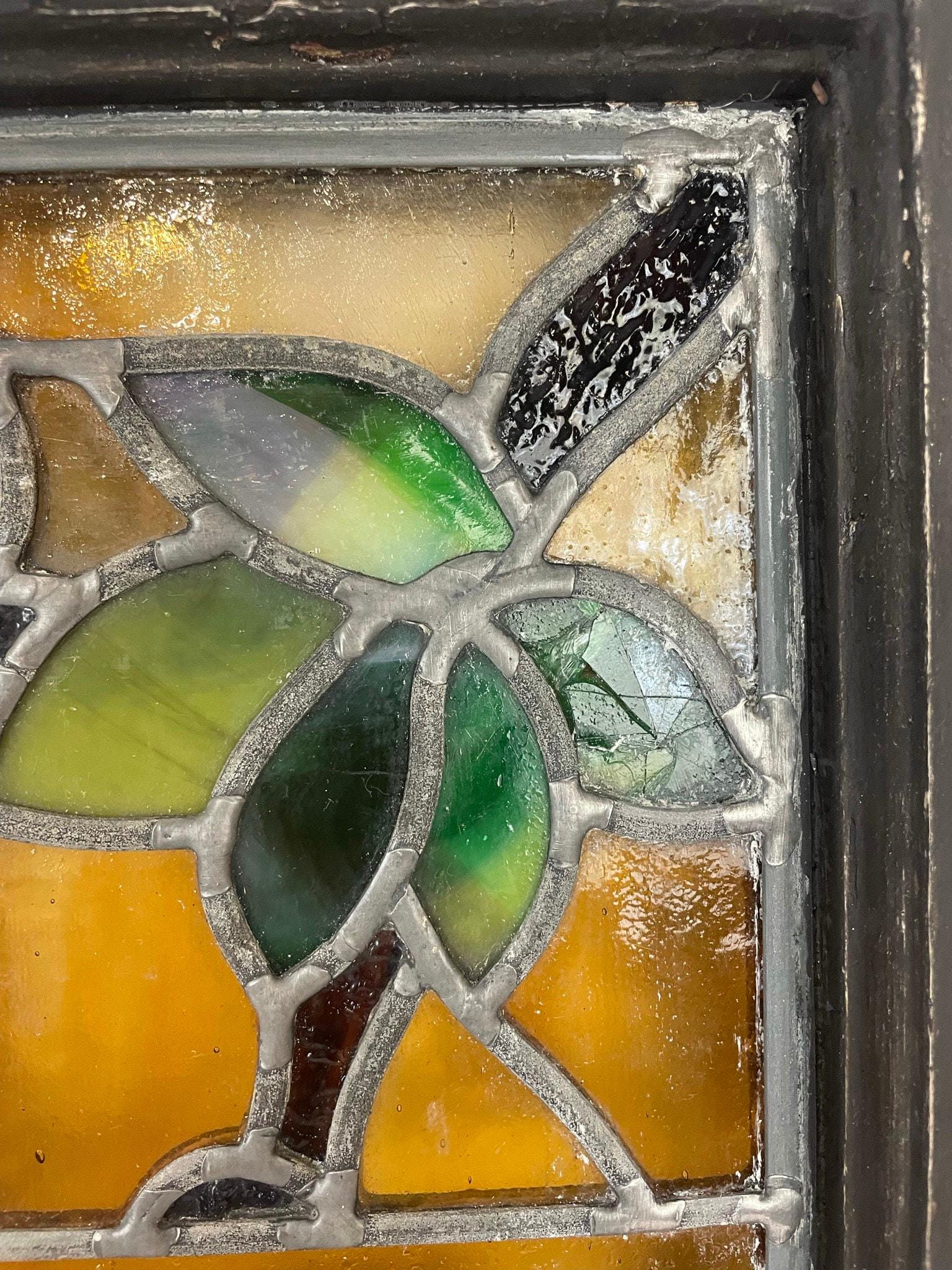 AG1030 Antique C1925 Stained Glass Windows Grapevine Pattern Restored ...