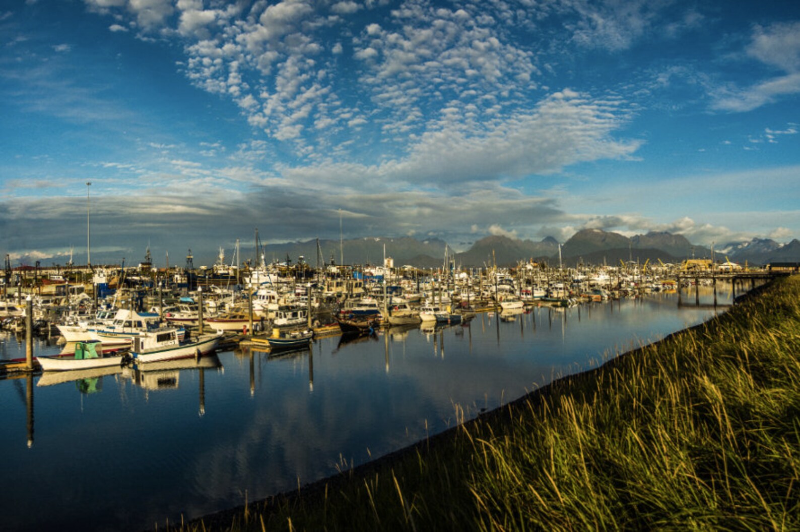Homer Harbor at Sunset on the Spit in Homer Alaska Color | Etsy
