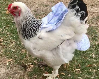 Chicken costume | Etsy