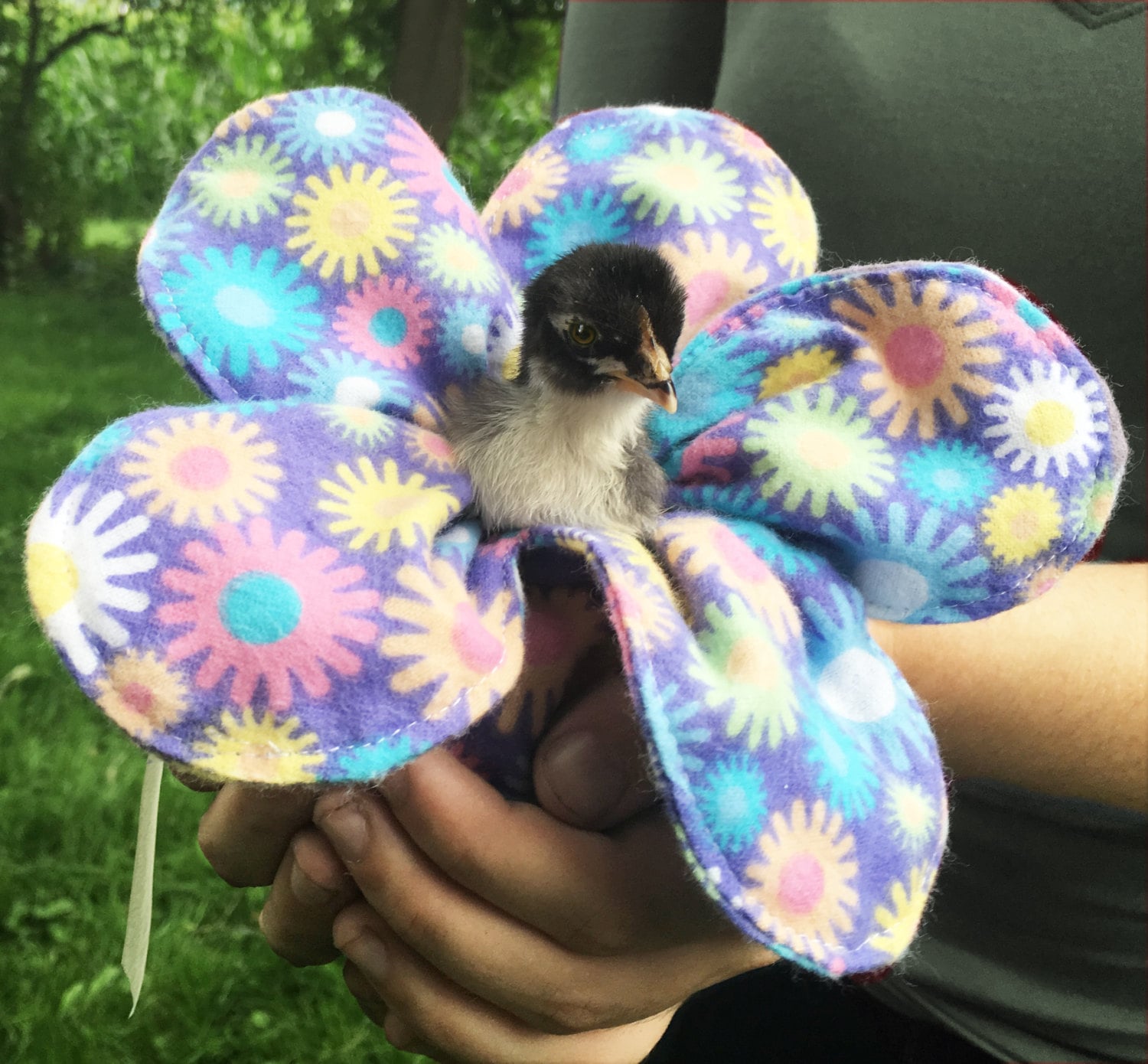 Peep Pouch Sewing Pattern Pattern to Hold a Baby Chicken - Etsy