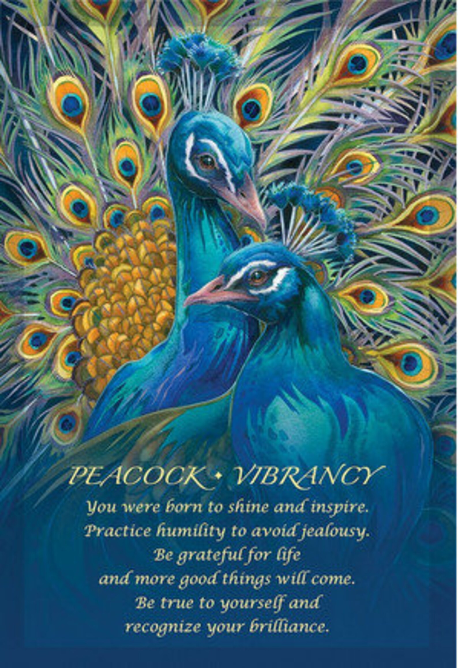 Spirit of the Animals Oracle Cards Guidebook Set by Jody | Etsy