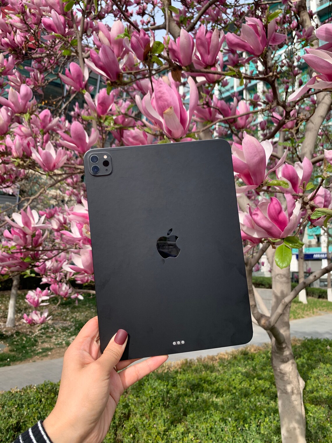 New Ipad Pro 12.9 Back Sticker Ipad Mini Solid Color Decal - Etsy