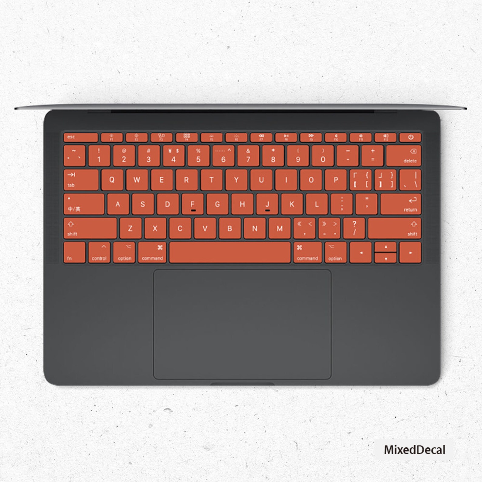 Conker MacBook Keyboard Stickers| Keyboard Key's Individual Stickers ...