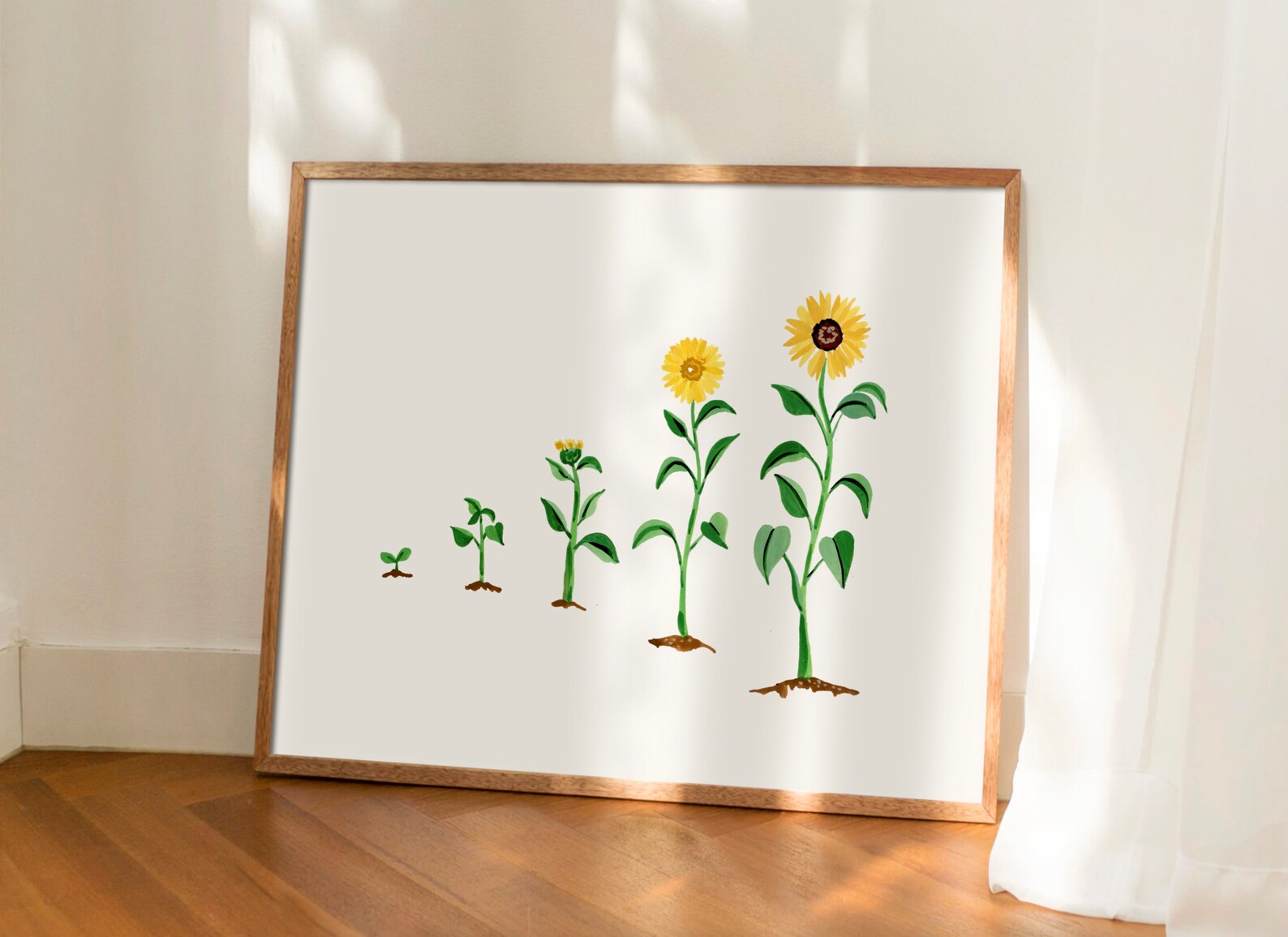 Sunflower Evolution Art Print Life Cycle of a Flower Flower - Etsy
