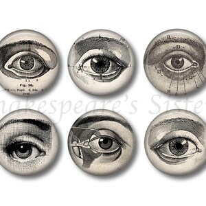 Human Anatomy Eye Optometry Magnets 1.5 Inch Round 6 Piece Magnet Set ...