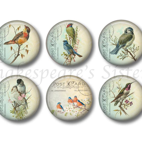 Bird Kitchen Decor - Etsy