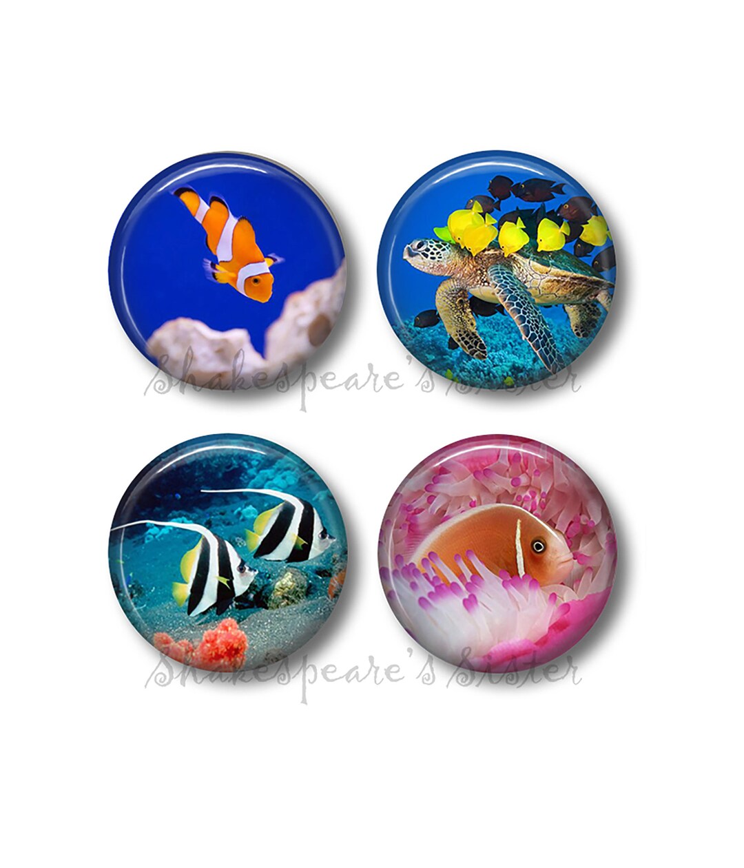 Ocean Tropical Fish Magnets Beach Home, Sea Turtle Four 1.5 Inch ...