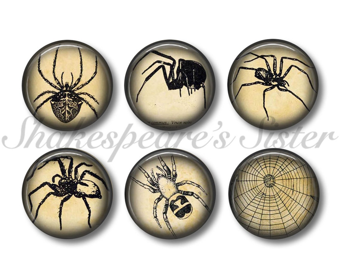 Spider Magnets Fridge Magnets Gothic Decor 6 Magnets | Etsy