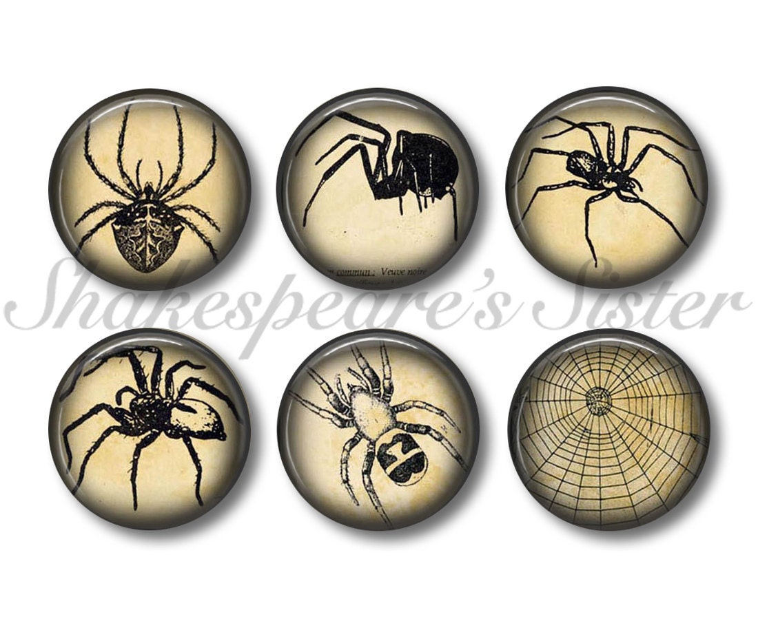 Spider Magnets Fridge Magnets Gothic Decor 6 Magnets - Etsy