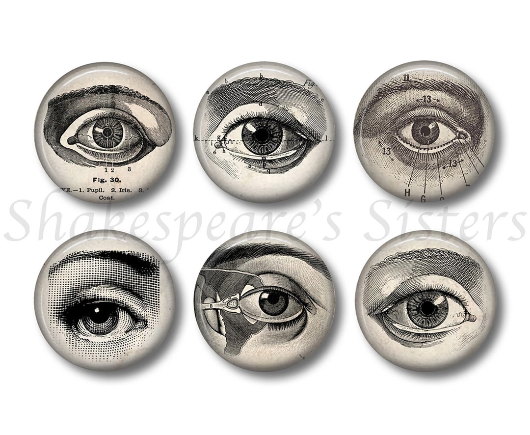 Human Anatomy Eye Optometry Magnets 1.5 Inch Round 6 Piece Magnet Set ...