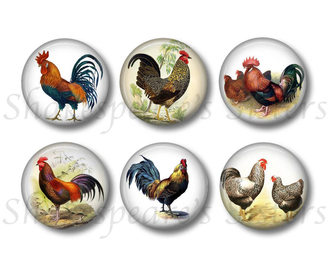 Rooster Magnets Set of Six 1.5 Inch Magnets Chicken Magnets Farm ...