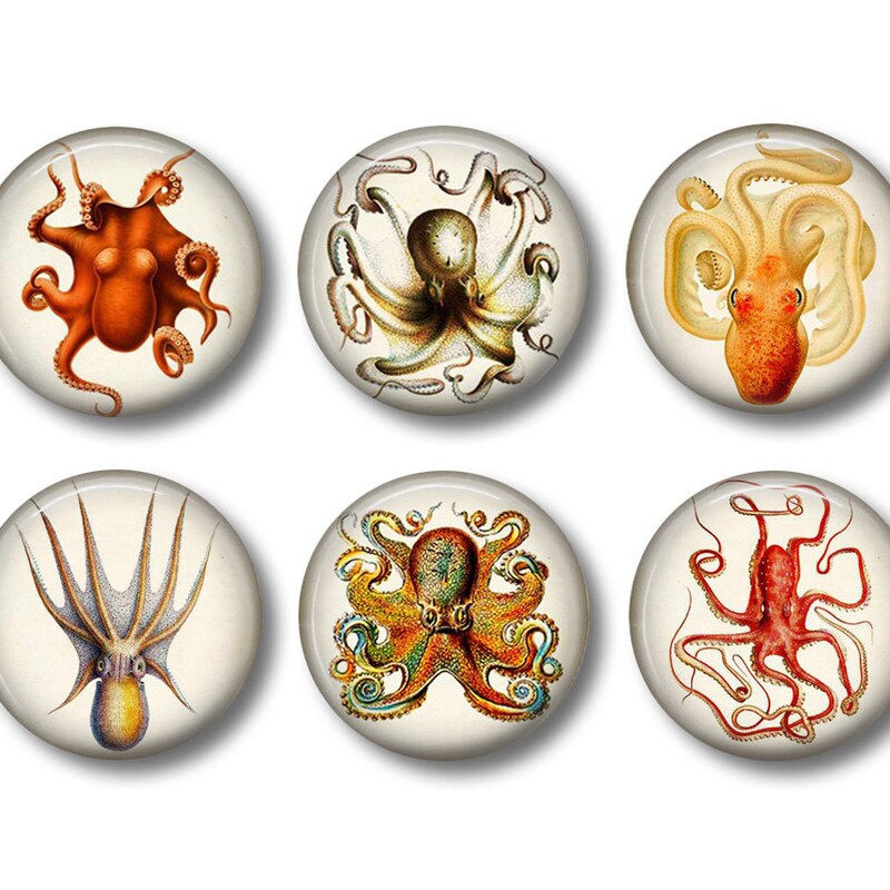 Sea Life Magnets - Etsy