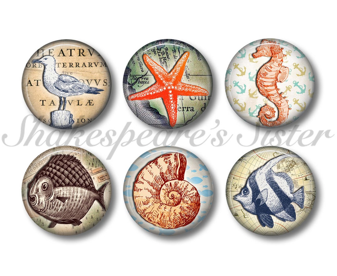 Sea Life Art Fridge Magnets Nautical Kitchen 6 Magnets - Etsy