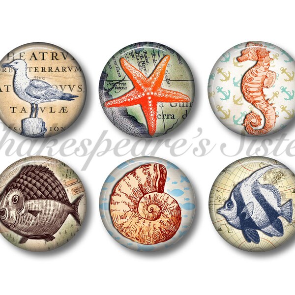 Sea Life - Etsy