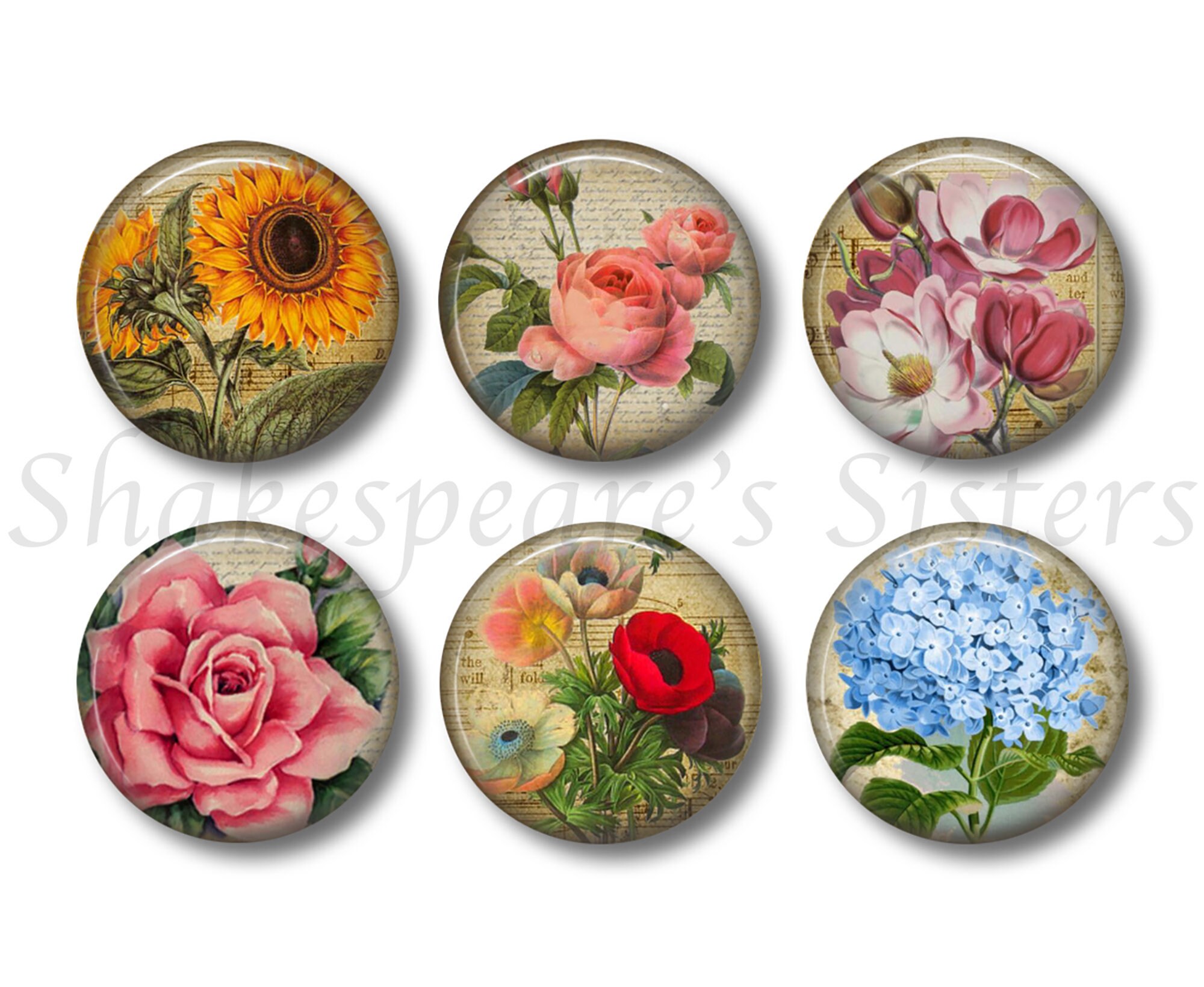 Flower Magnet Set 6 Round Nature Magnets 1.5 Inch Rose | Etsy