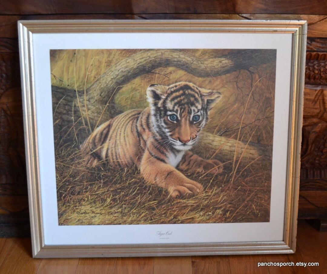 Vintage Charles Frace Tiger Cub Framed Print: Signed Wildlife Art - Etsy