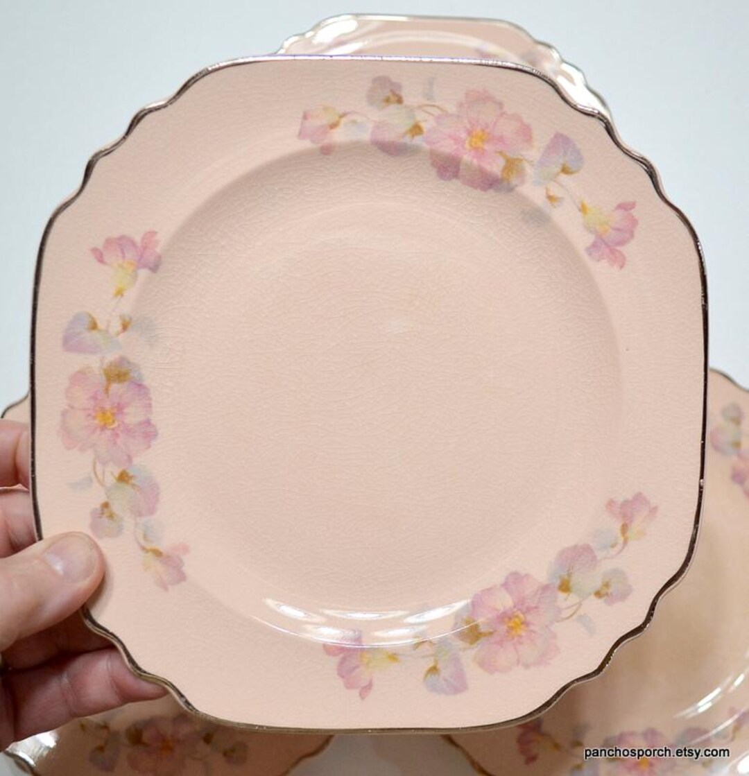 Vintage Bel Clare Luncheon Plates Set: Pink Floral Silver Rim, American ...