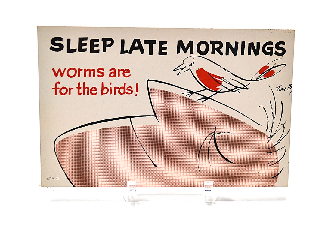Vintage Sleep Late Postcard: Worms for Birds Wackies Dexter Press - Etsy
