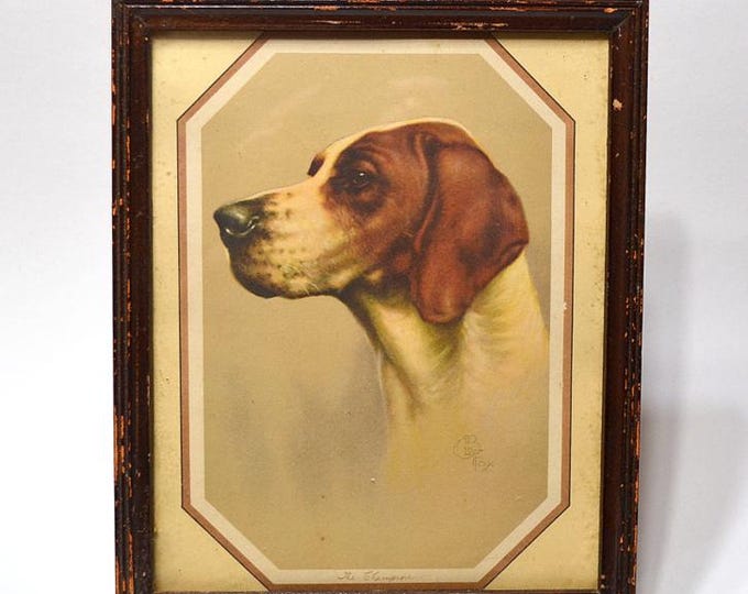 Vintage Pointer Dog Original Print the Champion by GB Fox 1930's Framed ...