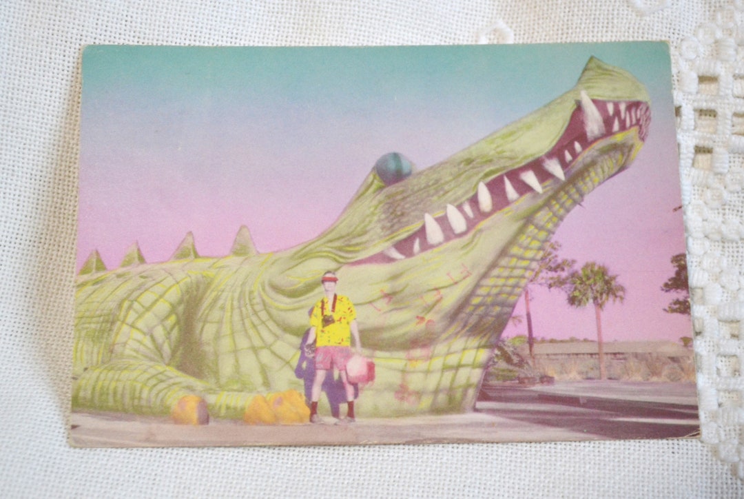 Vintage FLORIDA Postcard Tacky Tourist Amorous Alligator Americana Road ...