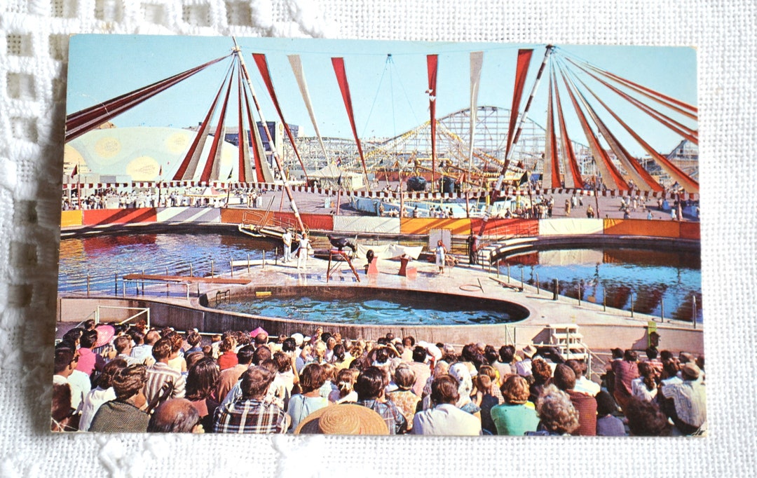 Vintage CALIFORNIA Post Card Sea Circus Pacific Ocean Park Santa Monica ...