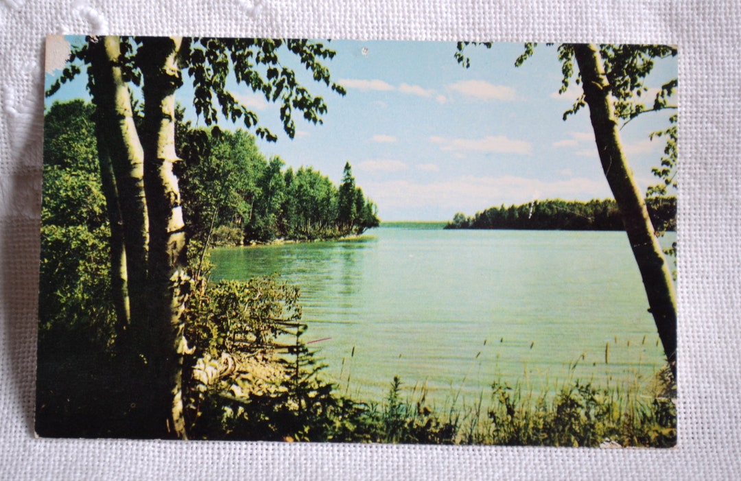 Vintage Michigan Postcard: Lake Forest Road Trip Souvenir - Etsy