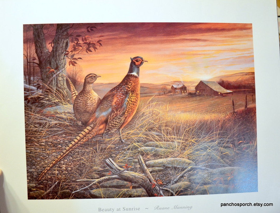 Vintage Lithograph Beauty at Sunrise by Ruane Manning Pheasant Farm ...