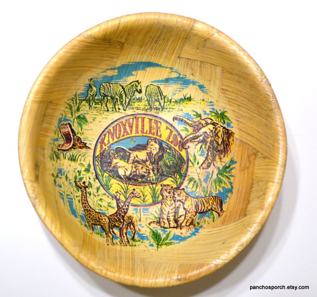 Vintage Knoxville Zoo Bamboo Bowl: Tennessee Travel Souvenir - Etsy