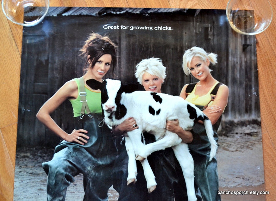 Vintage the CHICKS Poster 2000 Got Milk Campaign Dairy Farmers Country ...