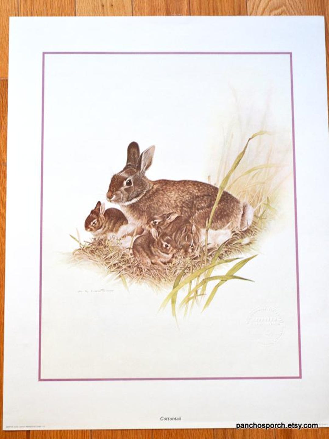 Vintage Glenn Loates Cottontail Lithograph: Rabbit Family Art, Ready to ...