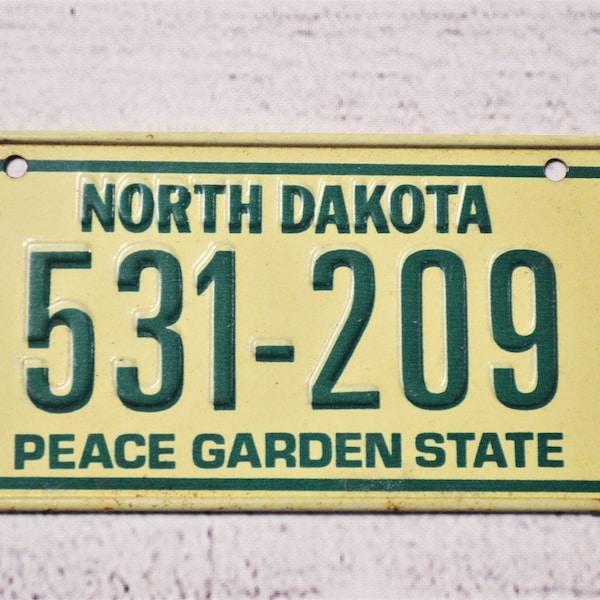 Mini License Plate - Etsy