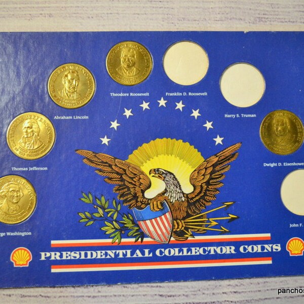 Shell Collector - Etsy