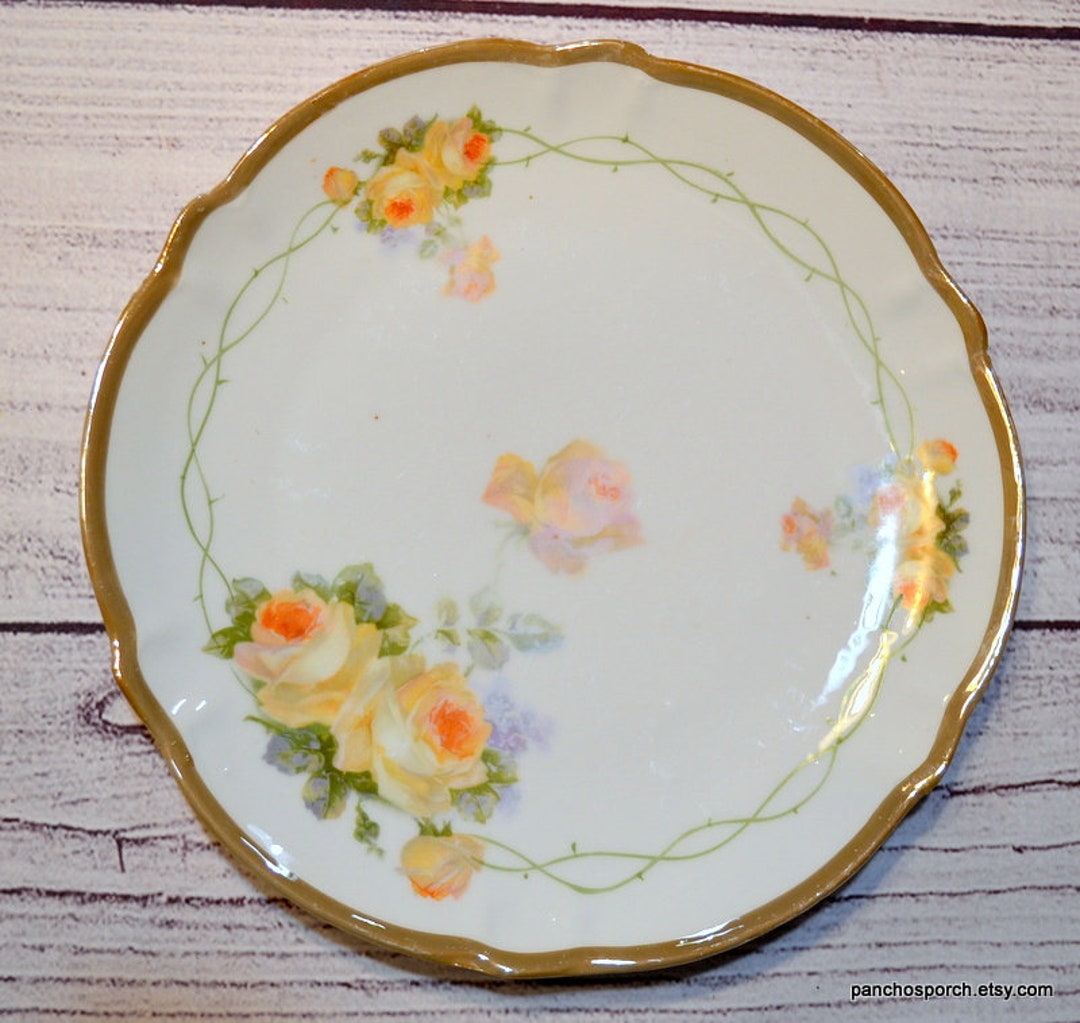 Vintage Floral Plate Pink Roses Foliage Thorny Vine Tan Rim Serving ...