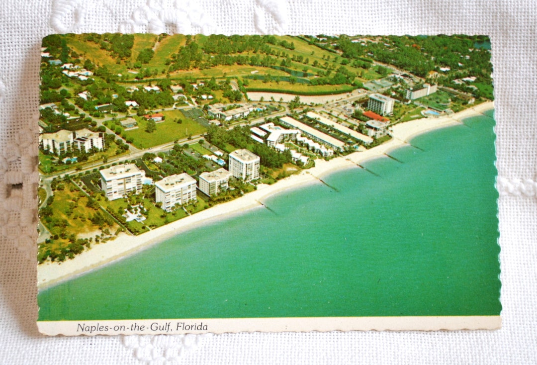 Vintage FLORIDA Postcard Naples on the Gulf Mexico Shoreline Tropical ...