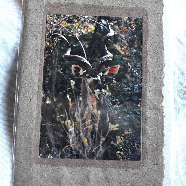 African Nature - Etsy